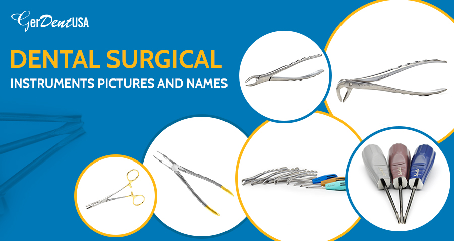 Basic Overview Of Dental Surgical Instruments Pictures & Names