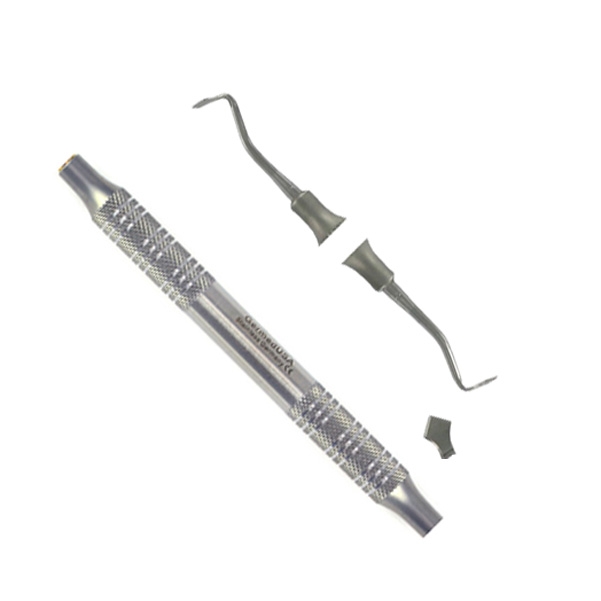 Dental Cleoid Discoid Vignon | GerDentUSA Inc