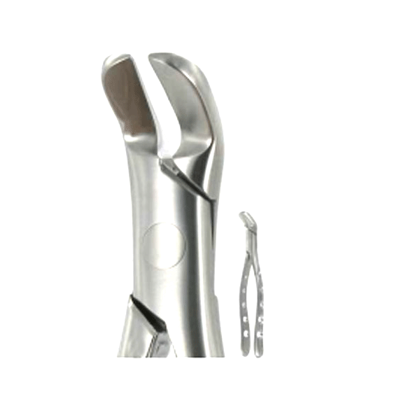 American Extraction Forceps No.6, Lower Splitting | GerDentUSA