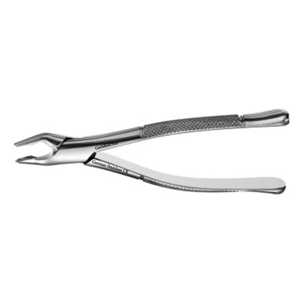 American Forceps For Upper Premolars Incisors and Roots