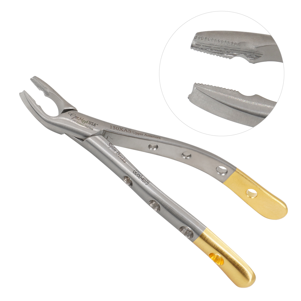 American Forceps, Upper Anteriors No. 150AS | GerDentUSA Inc