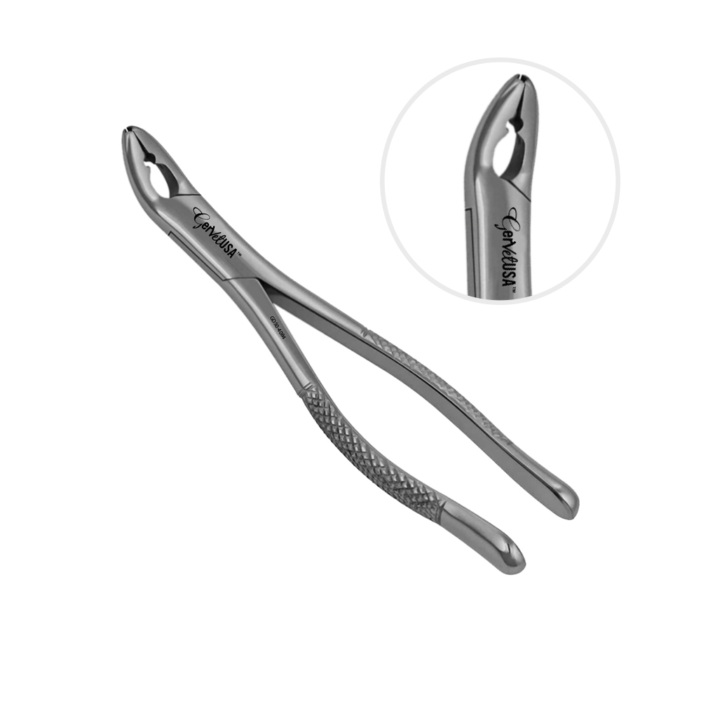 Split Beak American Forceps No. 151AS, Lower | GerDentUSA