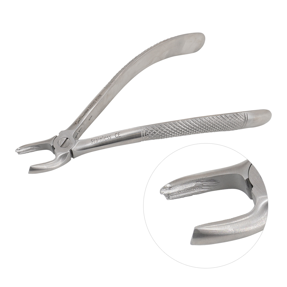 English Extracting Forceps, Upper Centrals and Canines No.1