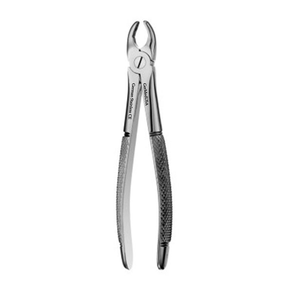 English Extracting Forceps, Upper Centrals and Canines No. 3