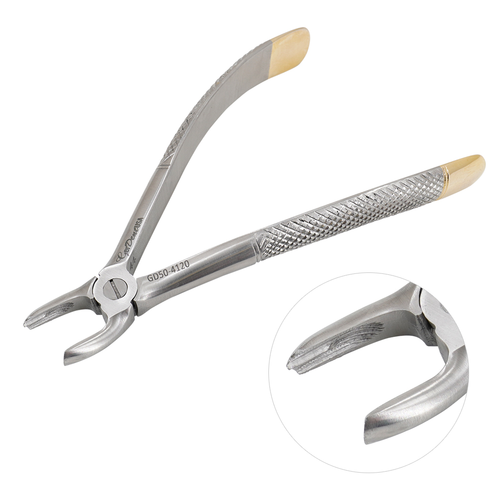 Extracting Forceps English Pattern