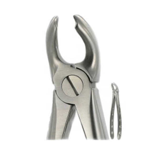 English Extracting Forceps, Lower Molars No. 21 | GerDentUSA