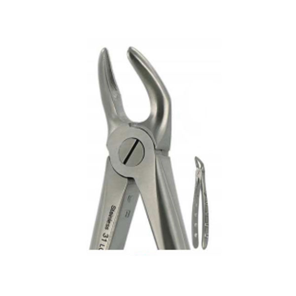 English Extraction Forceps Lower Roots No. 31 | GerDentUSA