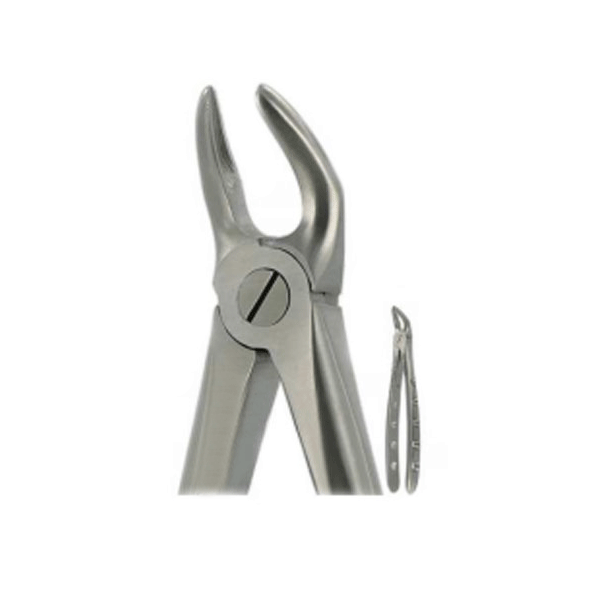 English Extraction Forceps Lower Roots No. 31 | GerDentUSA