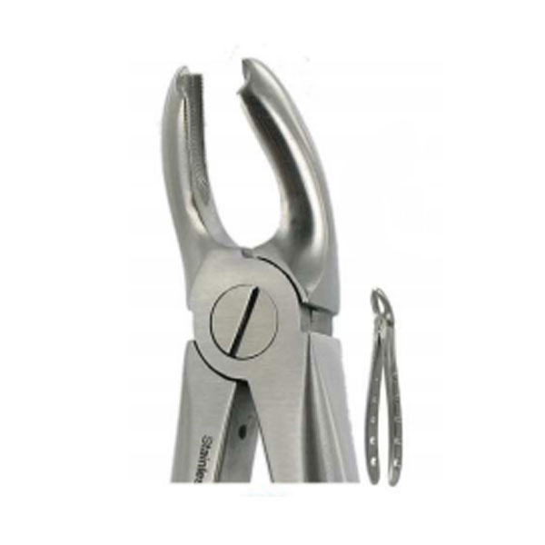 English Extraction Forceps, Lower Molars No. 32 | GerDentUSA