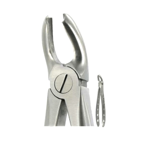 English Extraction Forceps, Lower Molars No. 32 | GerDentUSA