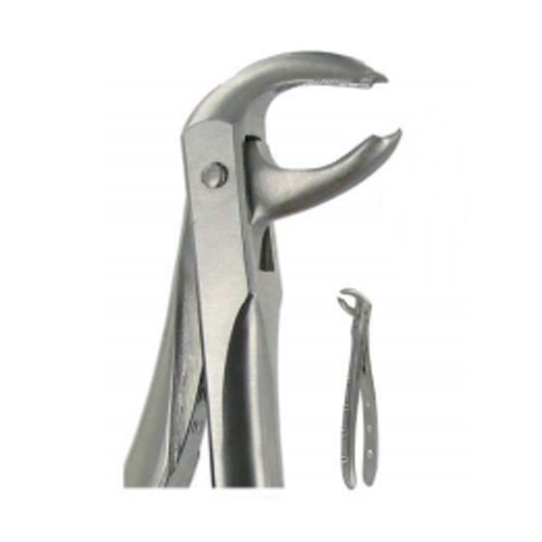English Extraction Forceps, Hawks Bill Lower Molars No. 73
