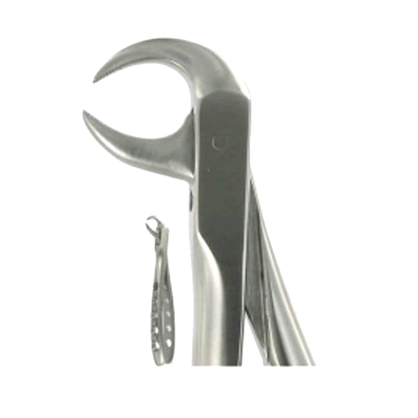 English Extraction Forceps, Lower Molars No. 86C