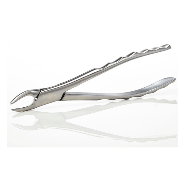 Modified Universal Extraction Forceps | GerDentUSA Inc.