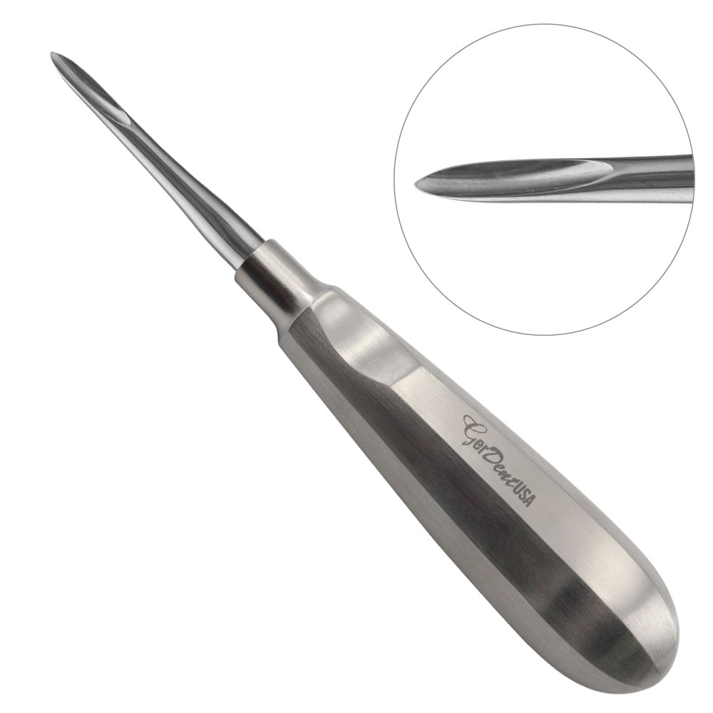 Bein Elevator 3mm | GerDentUSA Inc.