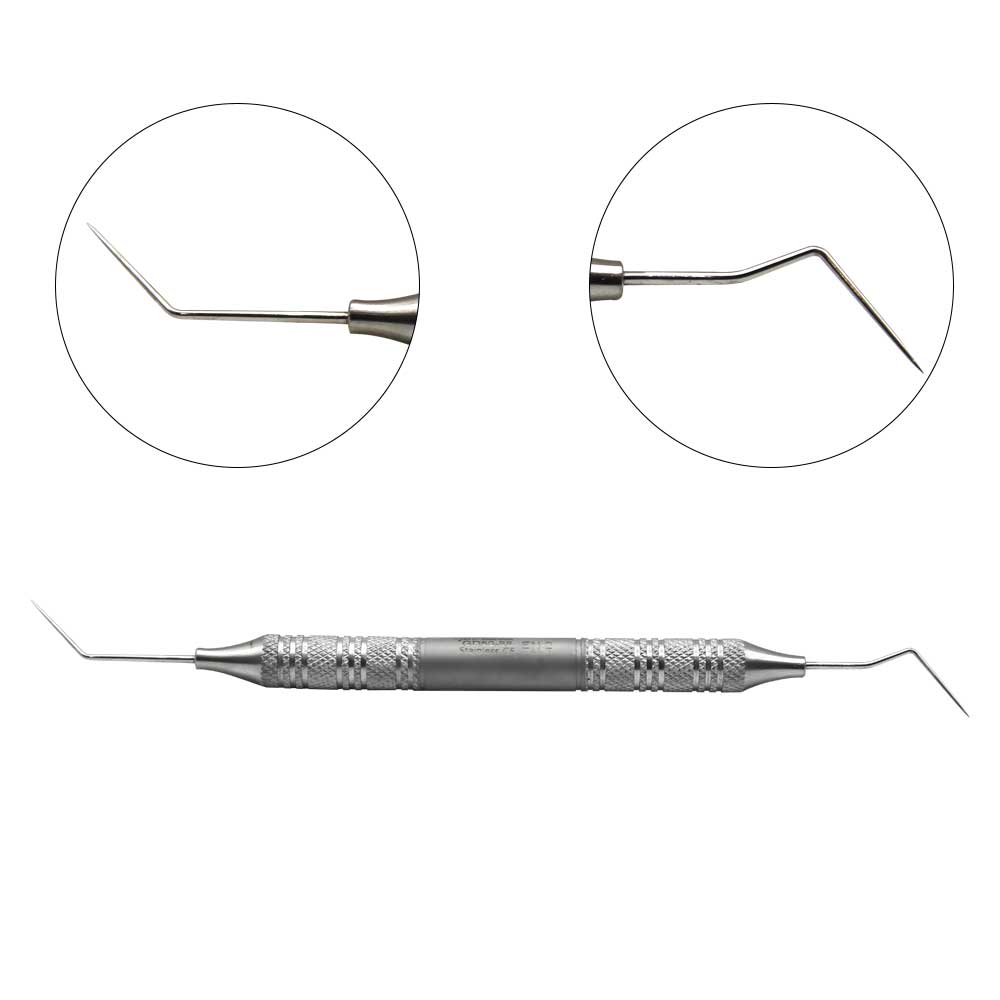 Explorer Endo DG-16 Double Ended | GerDentUSA